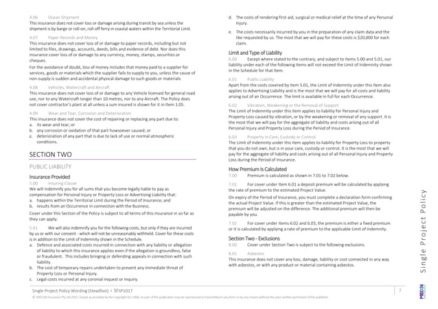 Steadfast Single Project Policy | PPT