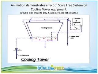 SFS Presentation | PPTX