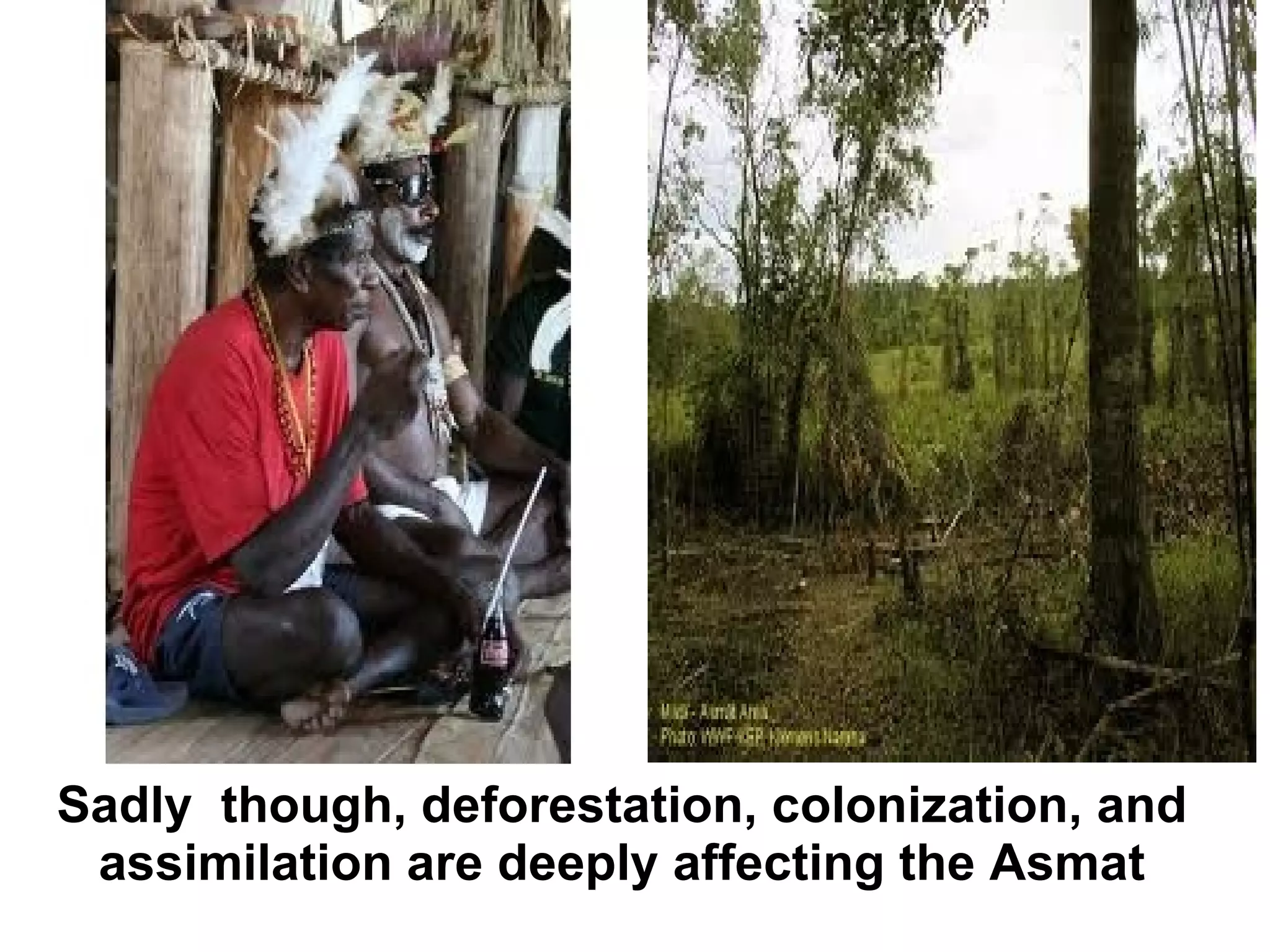 The Asmat Background | PPT