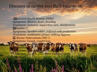 Formative Assessment Presentation on Cattle Farming | PPTX