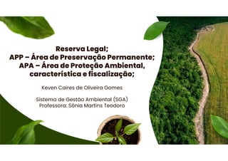 Reserva Legal; APP – Área de Preservação Permanente; APA – Área de ...