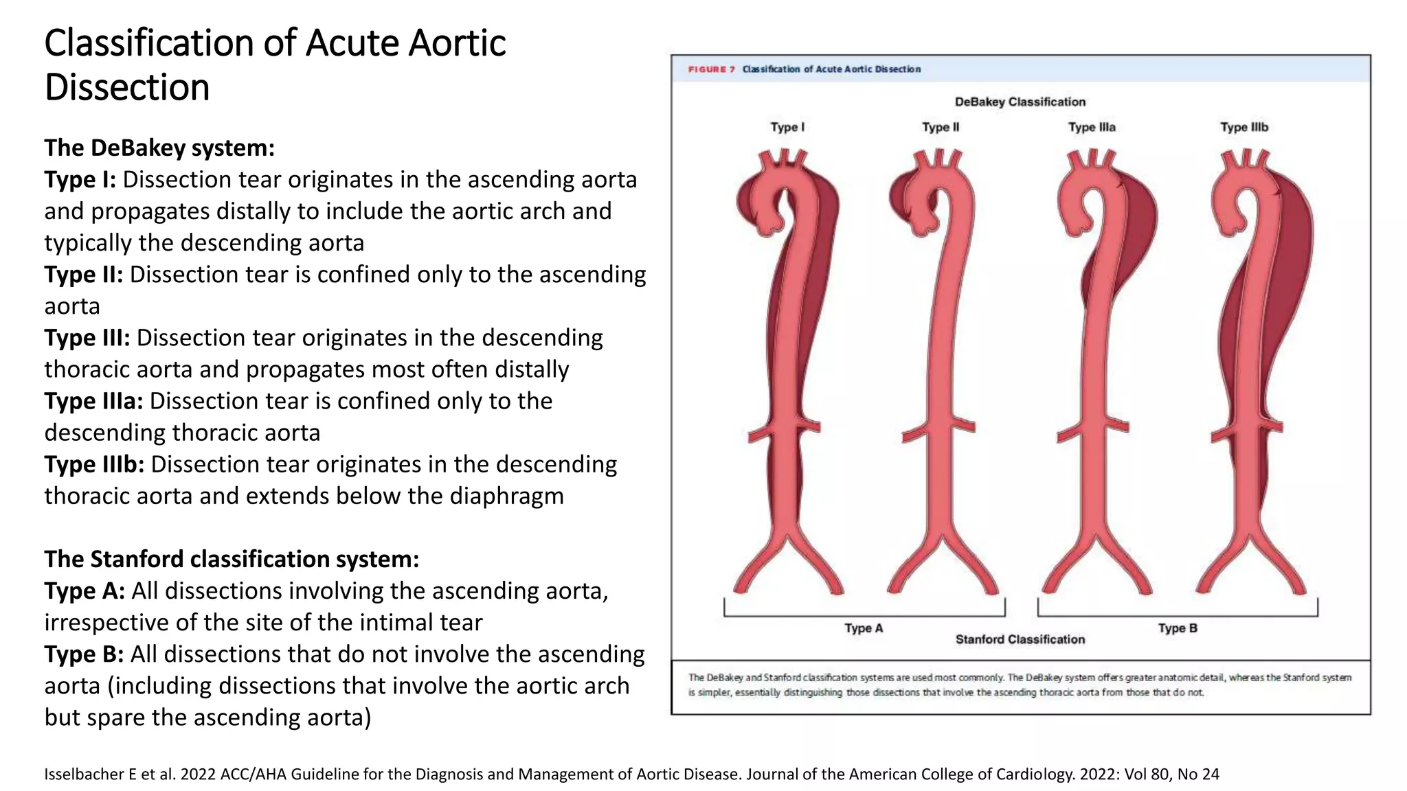 SG Aortic Disease.pptx | Heart and Cardiovascular Diseases | Diseases ...