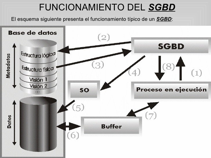 Sgbd