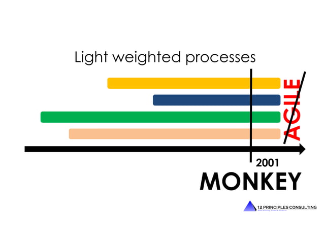 4 Focus Areas For Total Agile Transformation Ppt