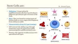 stem cells | PPT