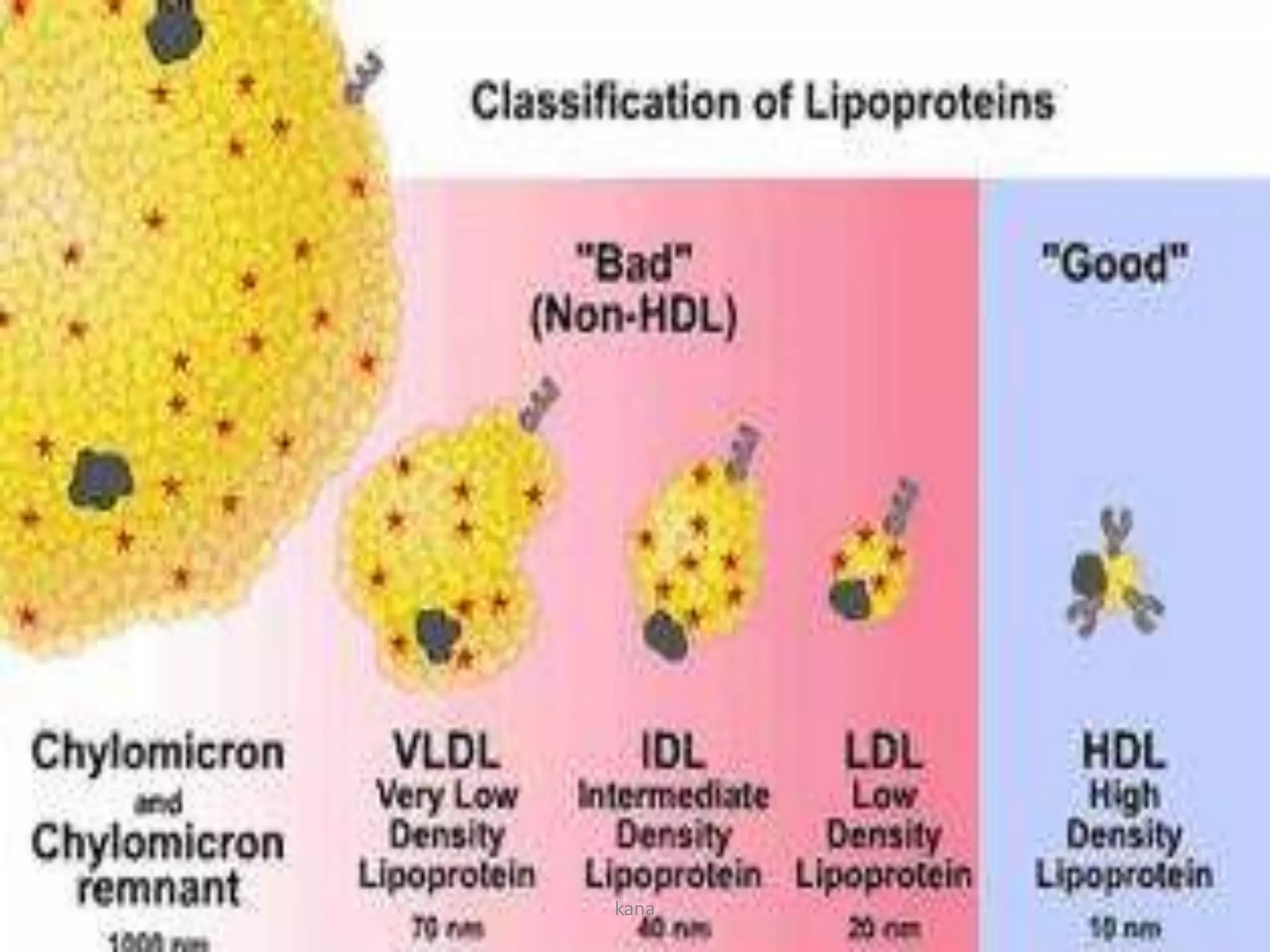 Abetalipoproteinemia | PPTX