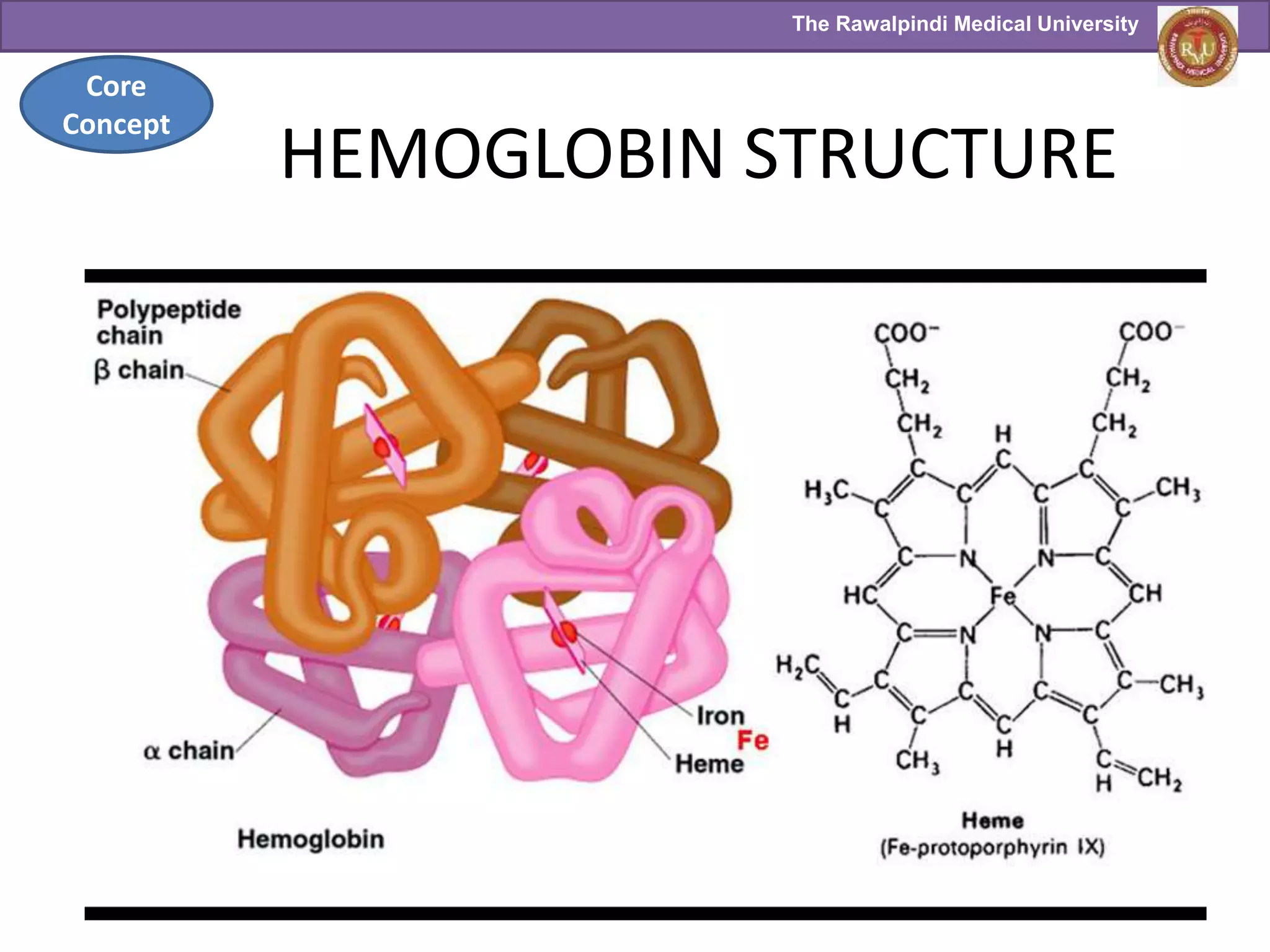 SGD_Hemoglobin adn Hemoglobionopathis_ Iron Metabolism Corrected by ...