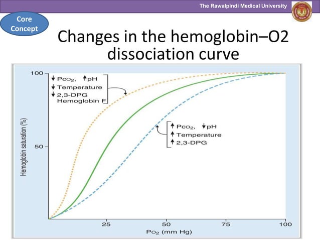 SGD_Hemoglobin adn Hemoglobionopathis_ Iron Metabolism Corrected by ...