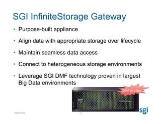 Sgi infinite storage gateway | PDF