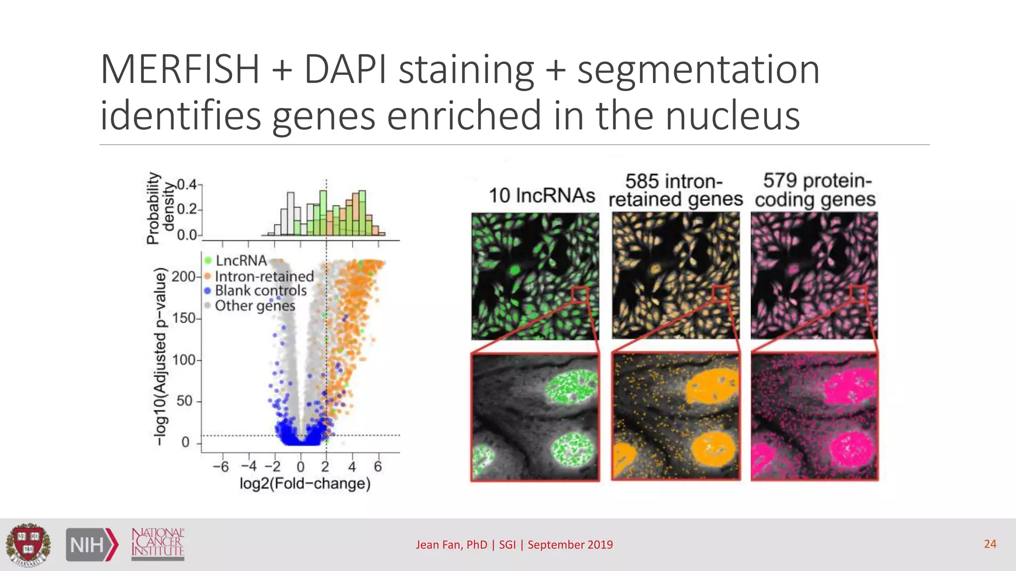 Spatial transcriptome profiling by MERFISH reveals sub-cellular RNA ...