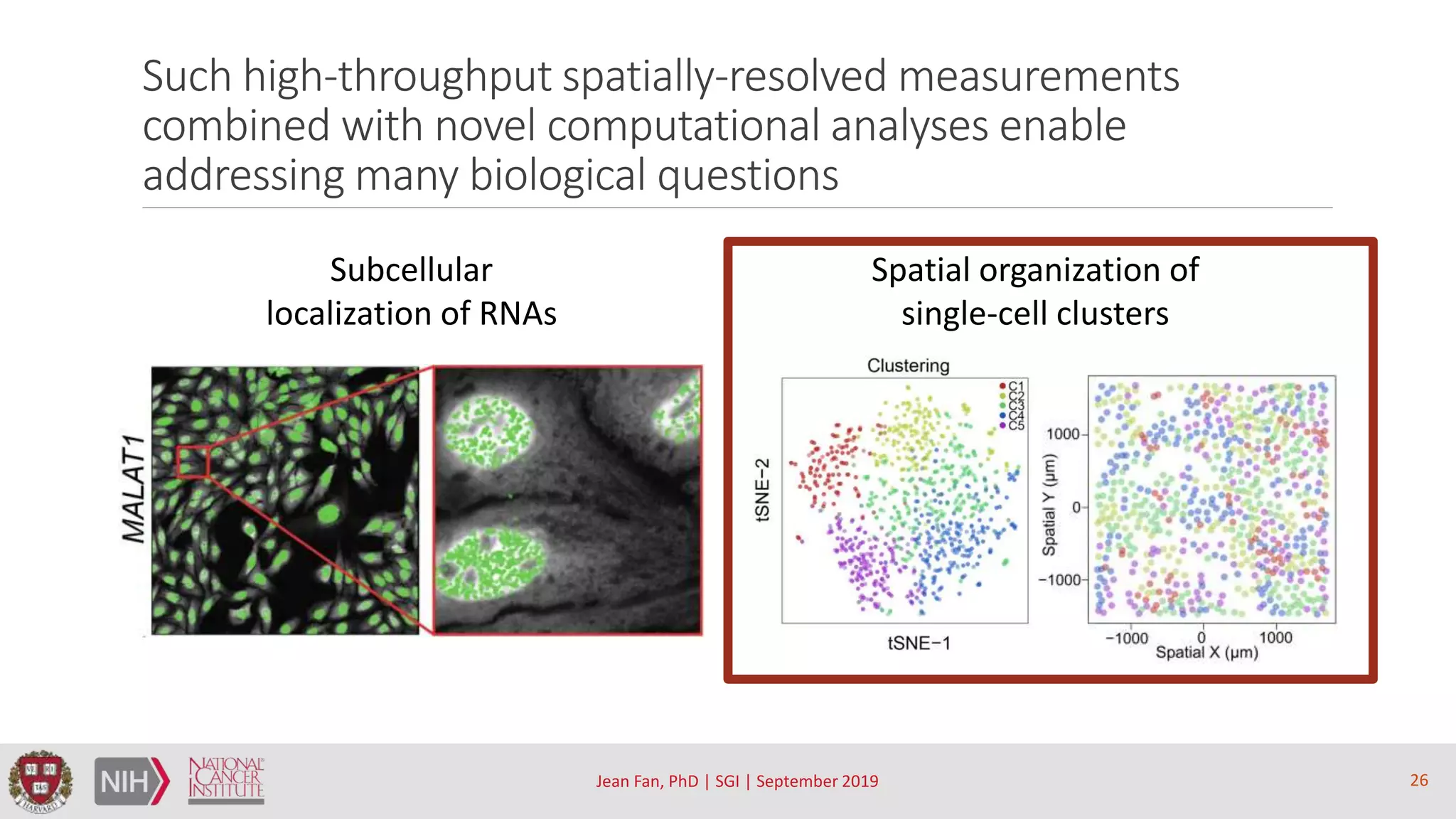Spatial transcriptome profiling by MERFISH reveals sub-cellular RNA ...