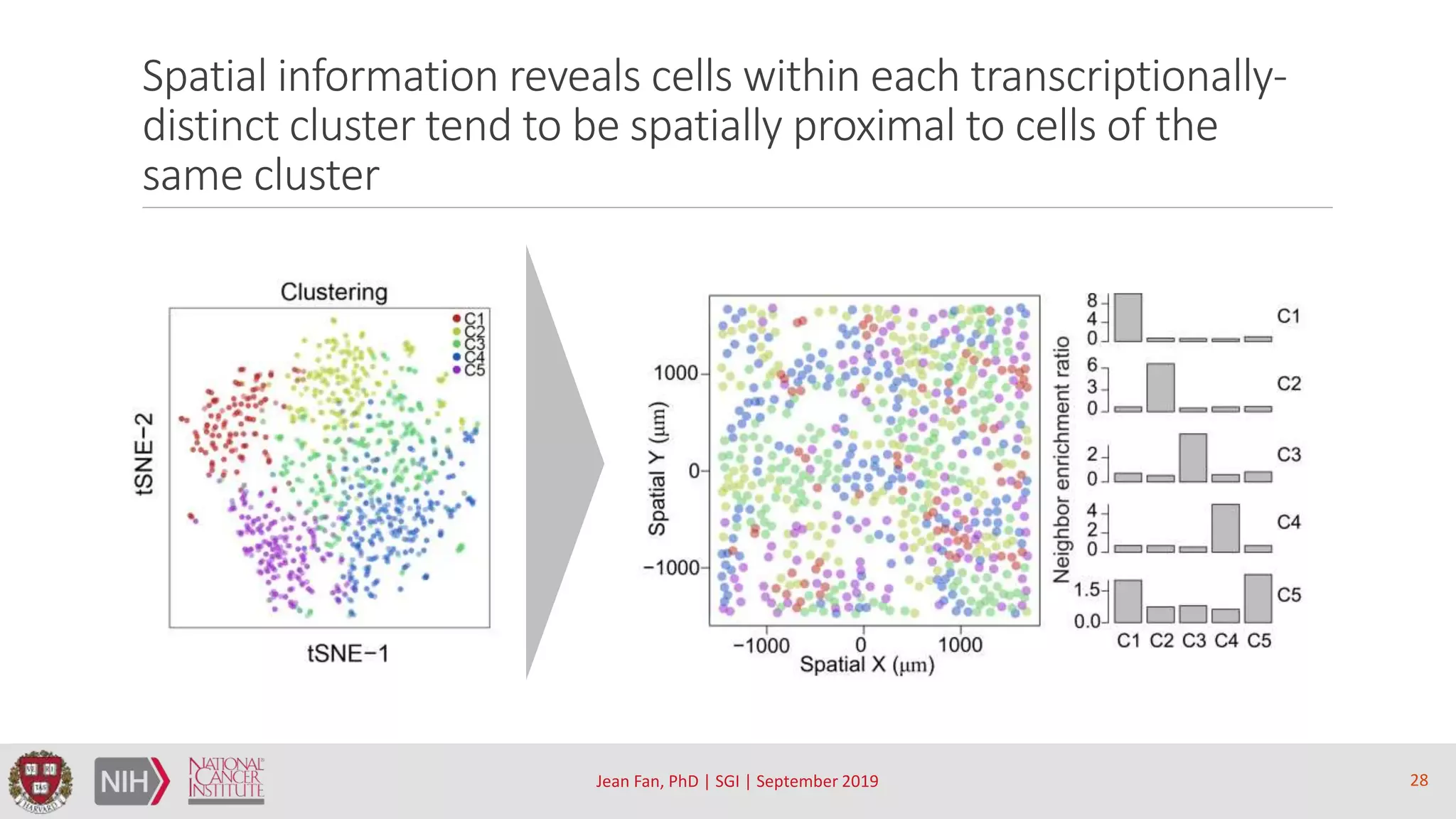 Spatial transcriptome profiling by MERFISH reveals sub-cellular RNA ...