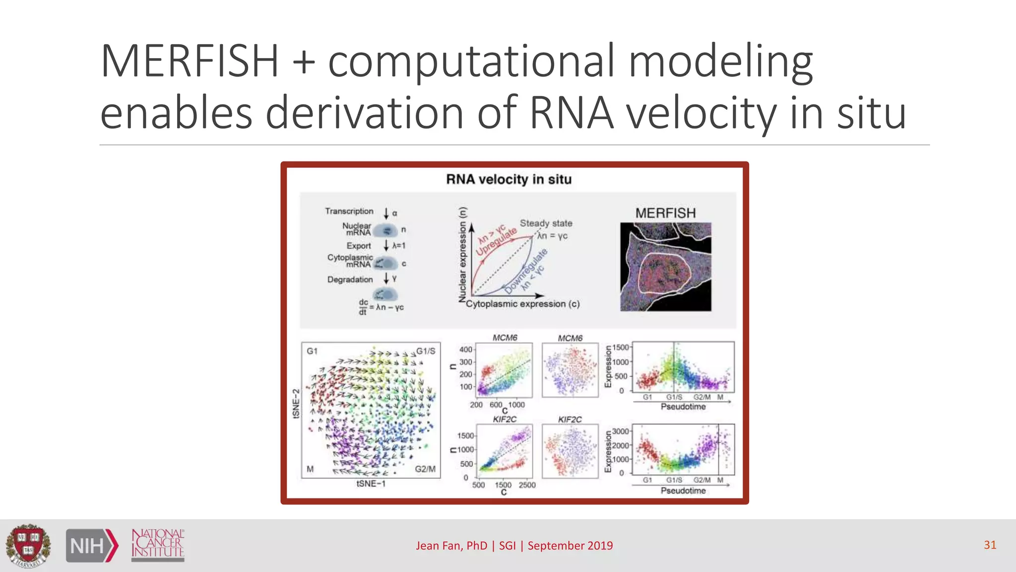Spatial transcriptome profiling by MERFISH reveals sub-cellular RNA ...