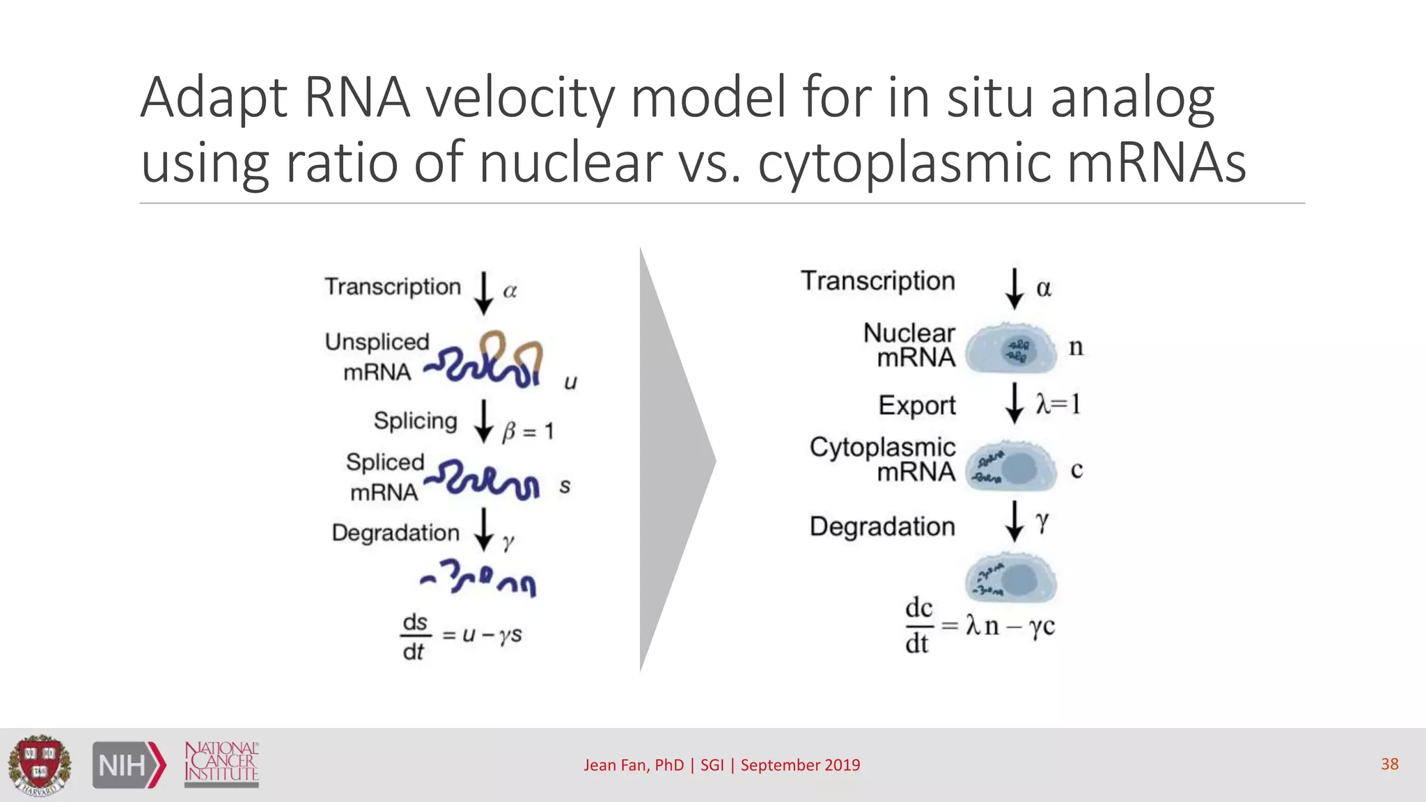 Spatial transcriptome profiling by MERFISH reveals sub-cellular RNA ...
