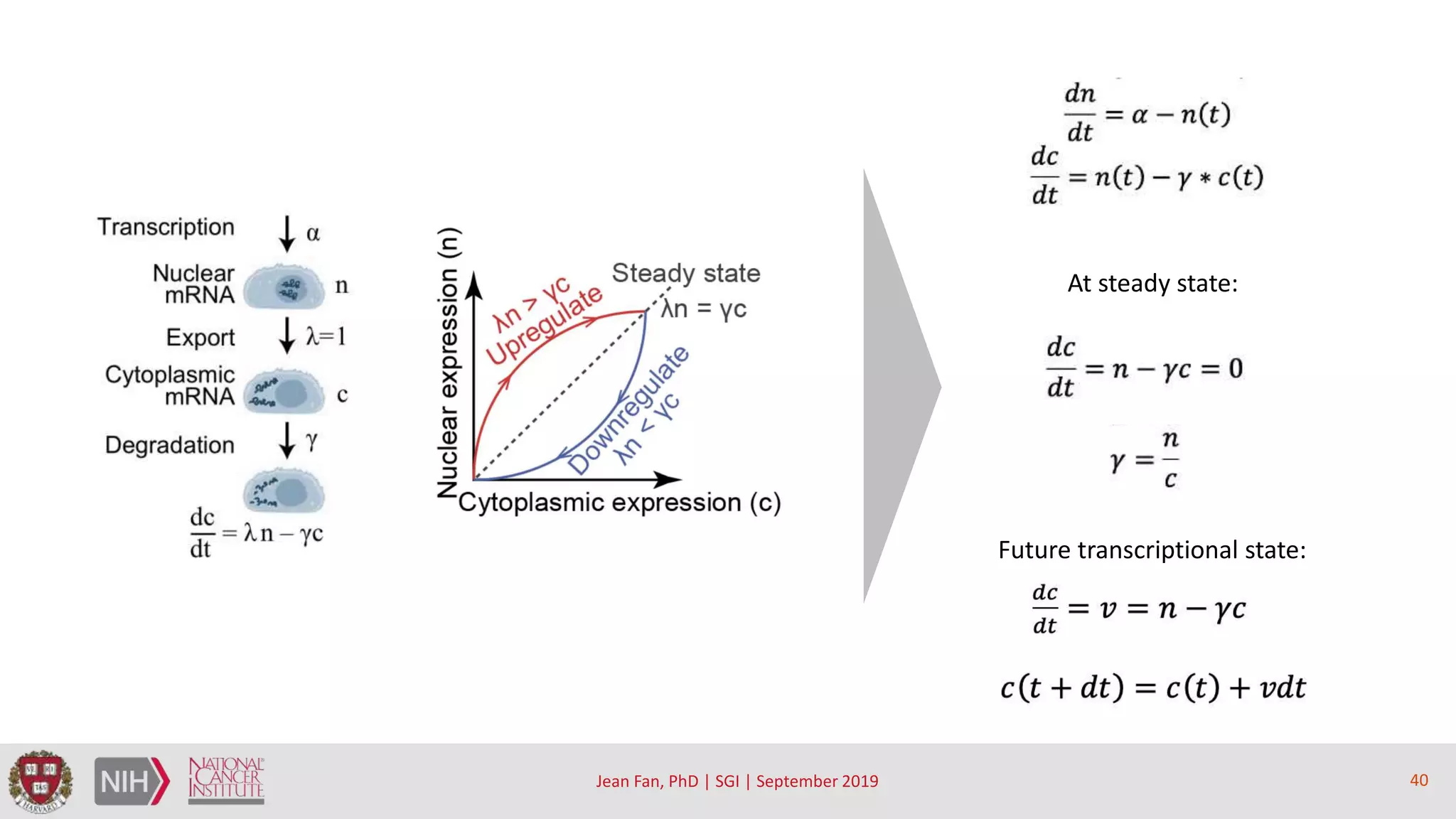 Spatial transcriptome profiling by MERFISH reveals sub-cellular RNA ...