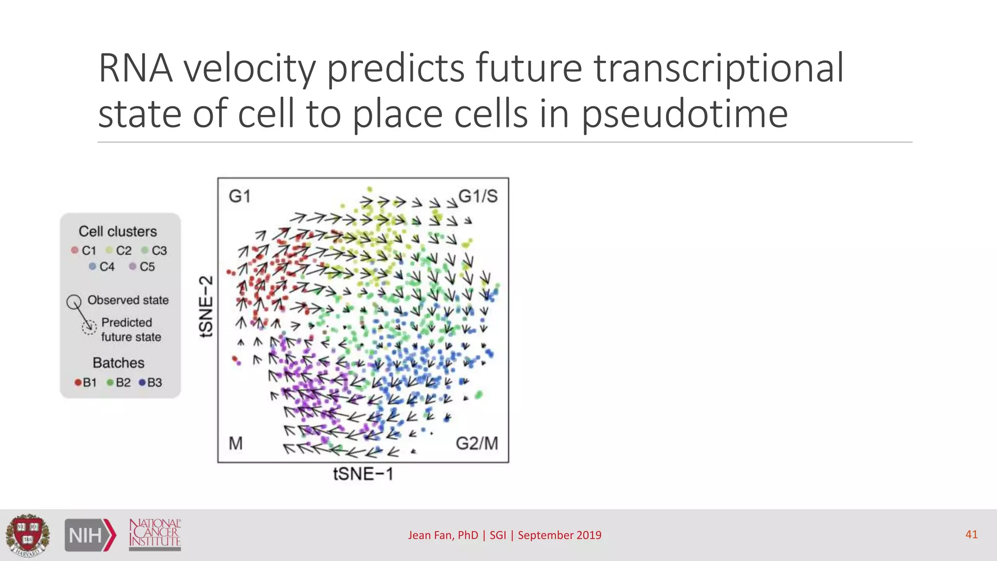 Spatial transcriptome profiling by MERFISH reveals sub-cellular RNA ...