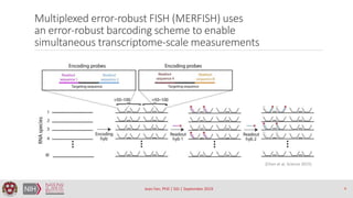 Spatial transcriptome profiling by MERFISH reveals sub-cellular RNA ...