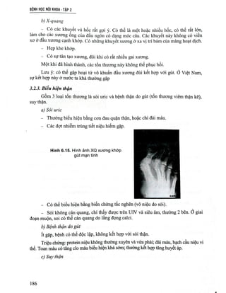 SGK BỆNH LÝ GOUT YHN hay lắm nha aaaa.pdf