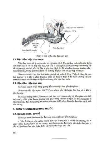 SGK Chấn thương niệu đạo Y4.pdf rất hay nha | PDF