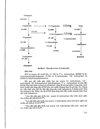 SGK cũ tăng sản thượng thận bẩm sinh ở trẻ em.pdf