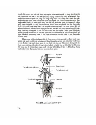 SGK Giải phẫu Miệng thực quản .pdf