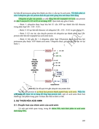 SGK mới chuyển hóa acid amin.pdf rất hay nha | PDF