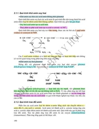 SGK mới chuyển hóa acid amin.pdf rất hay nha | PDF