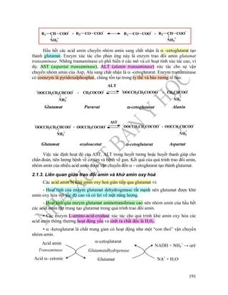 SGK mới chuyển hóa acid amin.pdf rất hay nha | PDF