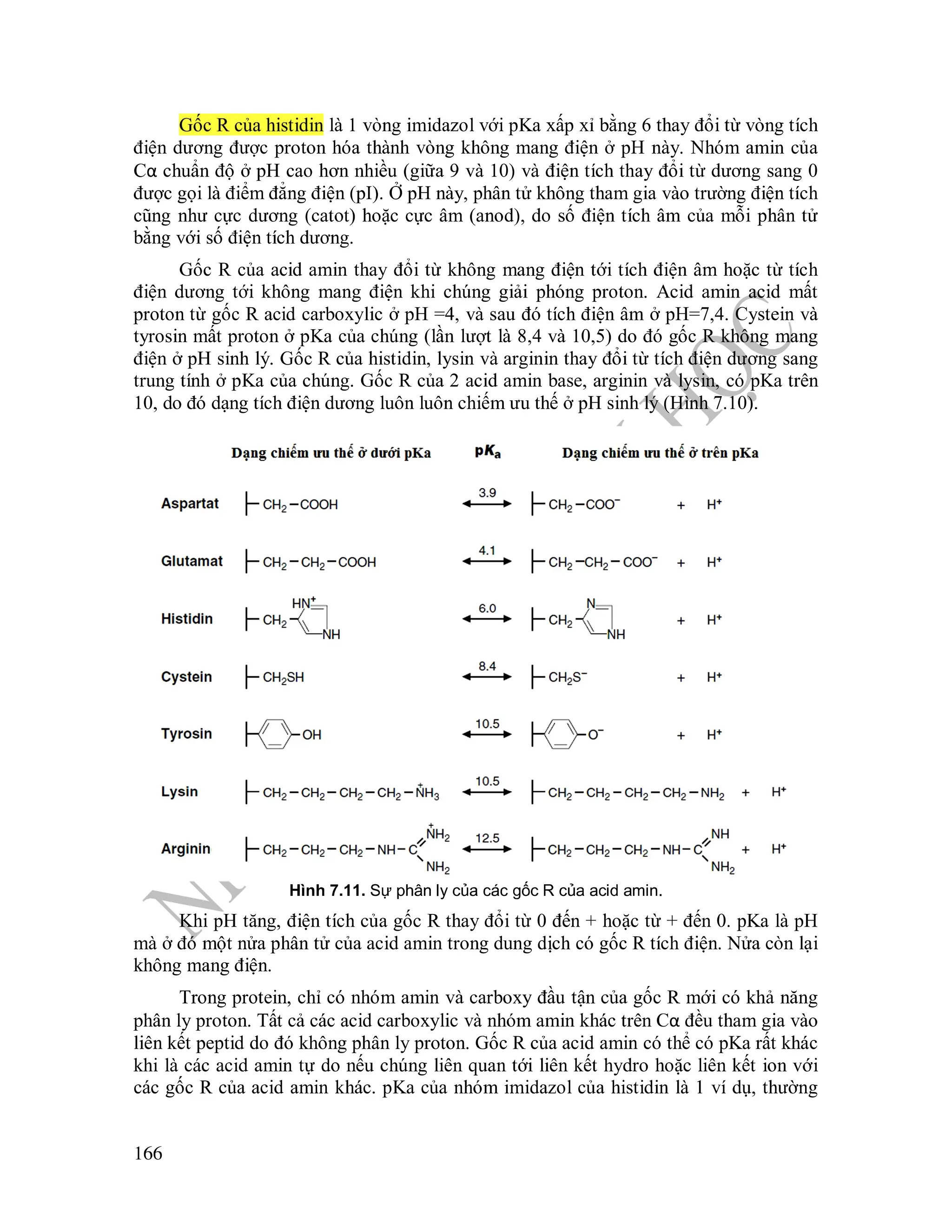 SGK mới hóa học acid amin, protein và hemoglobin.pdf