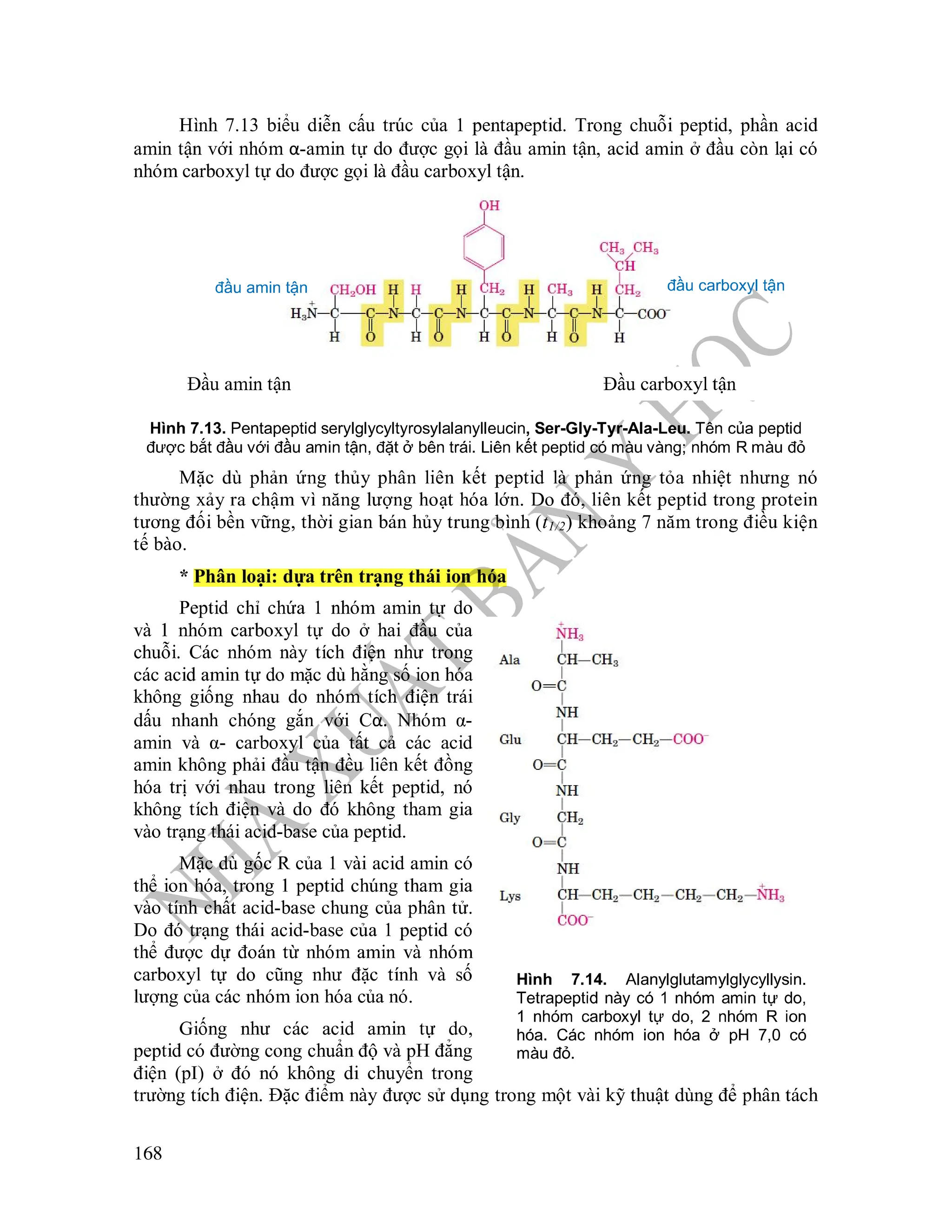 SGK mới hóa học acid amin, protein và hemoglobin.pdf