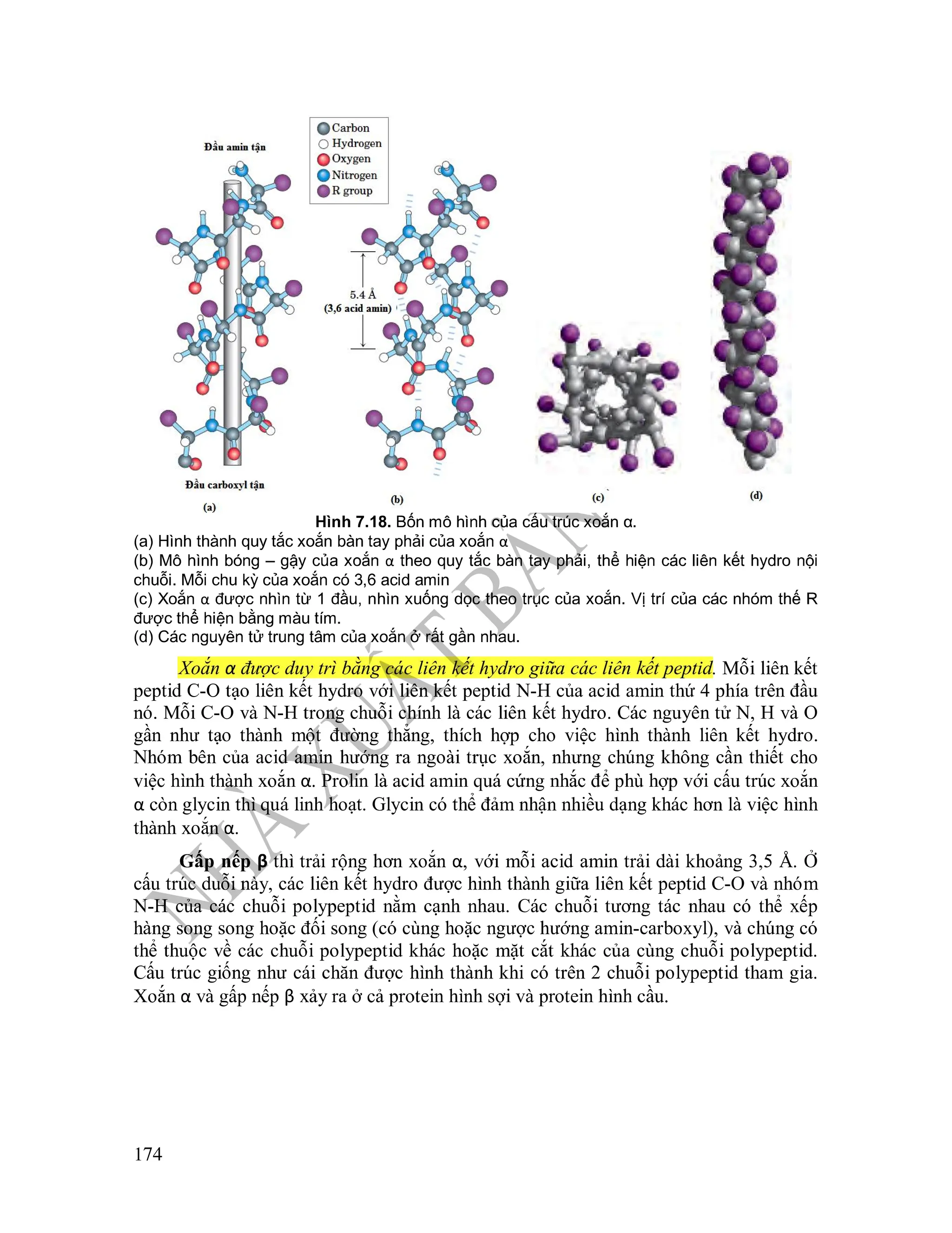 SGK mới hóa học acid amin, protein và hemoglobin.pdf