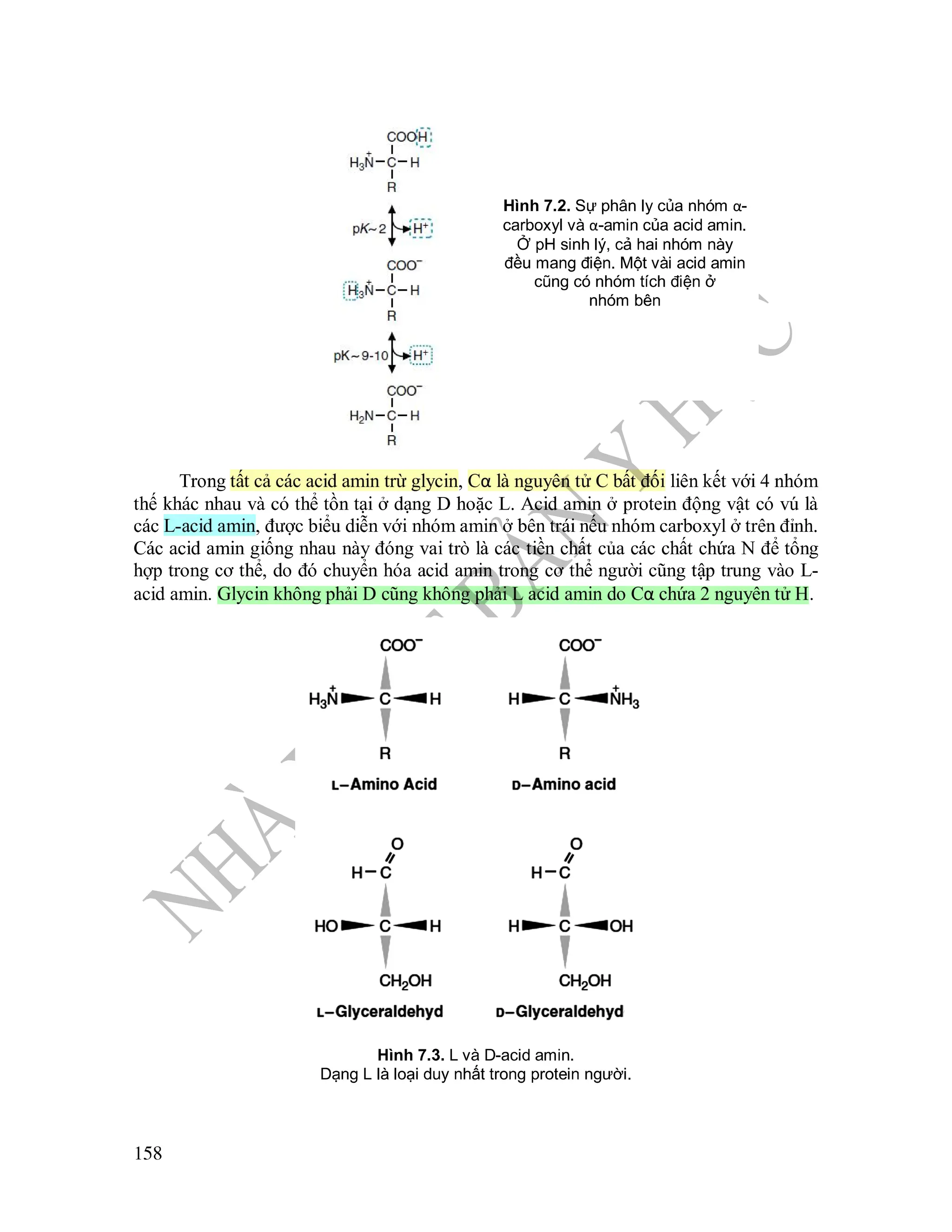 SGK mới hóa học acid amin, protein và hemoglobin.pdf