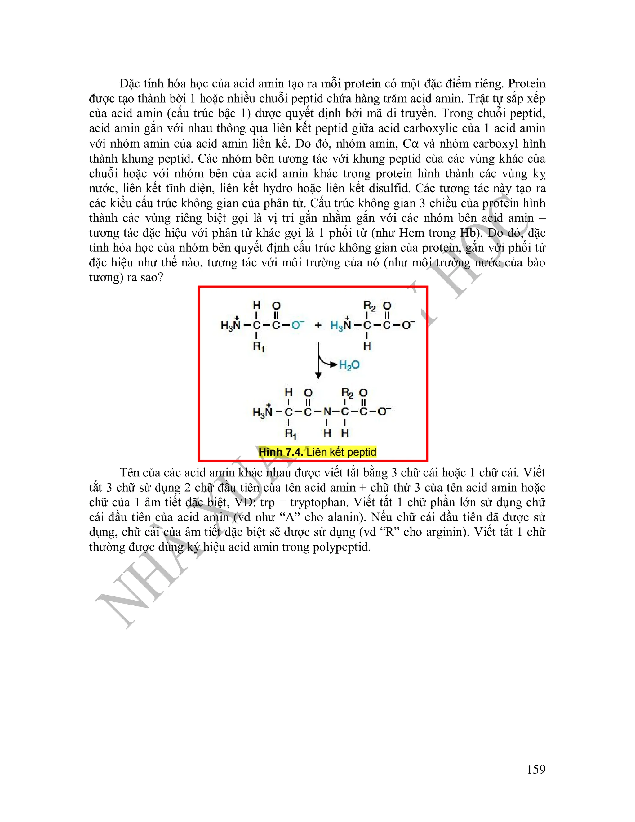 SGK mới hóa học acid amin, protein và hemoglobin.pdf