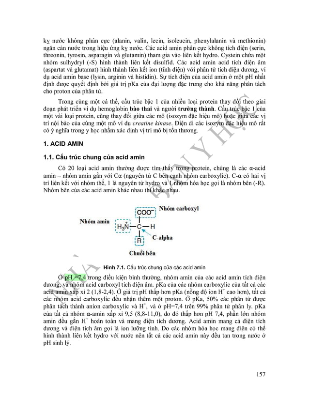 SGK mới hóa học acid amin, protein và hemoglobin.pdf