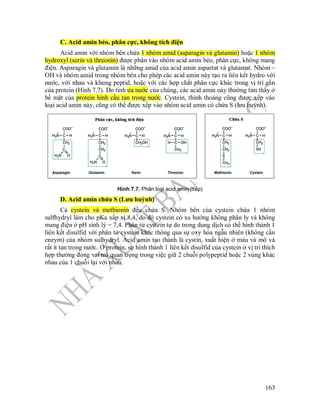 SGK mới hóa học acid amin, protein và hemoglobin.pdf
