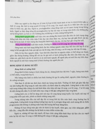 SGK phụ YDS thống kinh vô kinh cường kinh.pdf