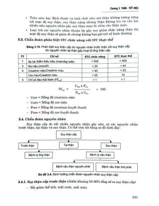 SGK Suy thận cấp Y6 ĐHYHN hay lắm nhé.pdf | Free Download