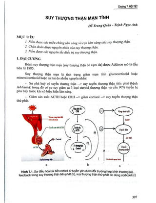 SGK Suy thượng thận mạn tính YHN.pdf