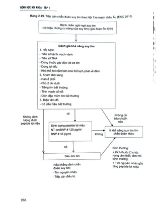 SGK Suy tim Y4 .pdf | Free Download