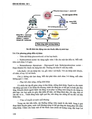 SGK VIÊM KHỚP DẠNG THẤP YHN .pdf