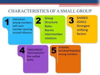 INSTRUCTIONAL METHODS: SMALL GROUP DISCUSSION | PPTX