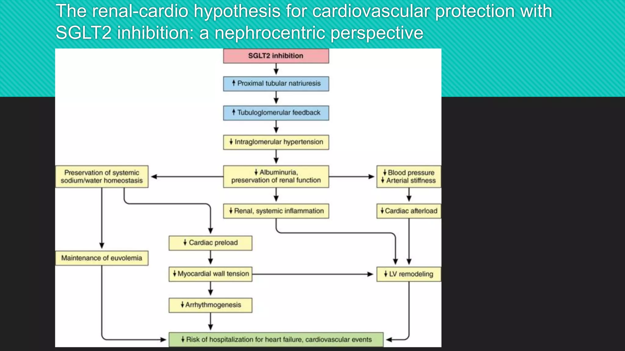 Sglt2 inhibitors past present and future | PPTX
