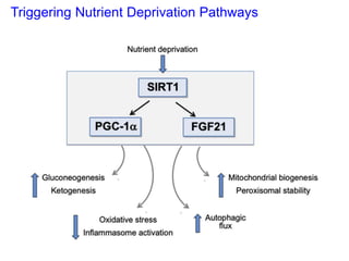 SGLT2 inhibitors in cardiac and renal disease .pptx