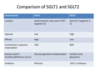 Sglt 2 inhibiors in cardiovascular diseases | PPT