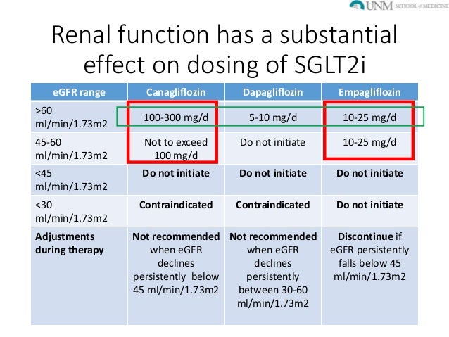 SGLT2 inhibitors in Diabetic Kidney Disease