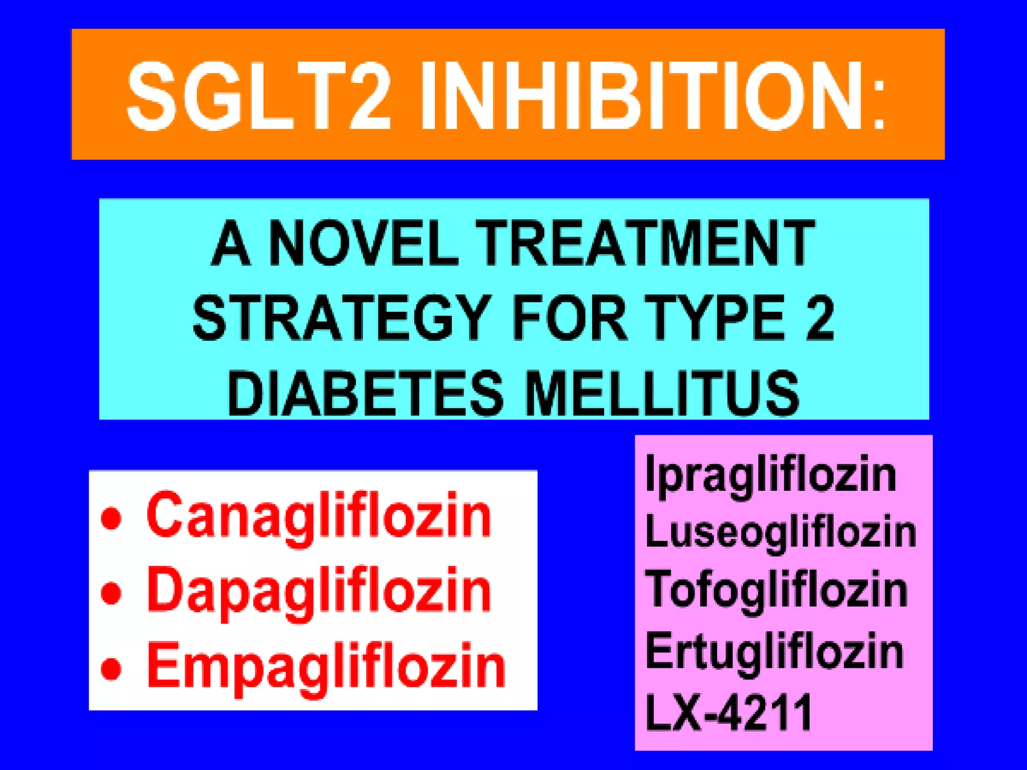 SGLT 2 inhibitors | PPT