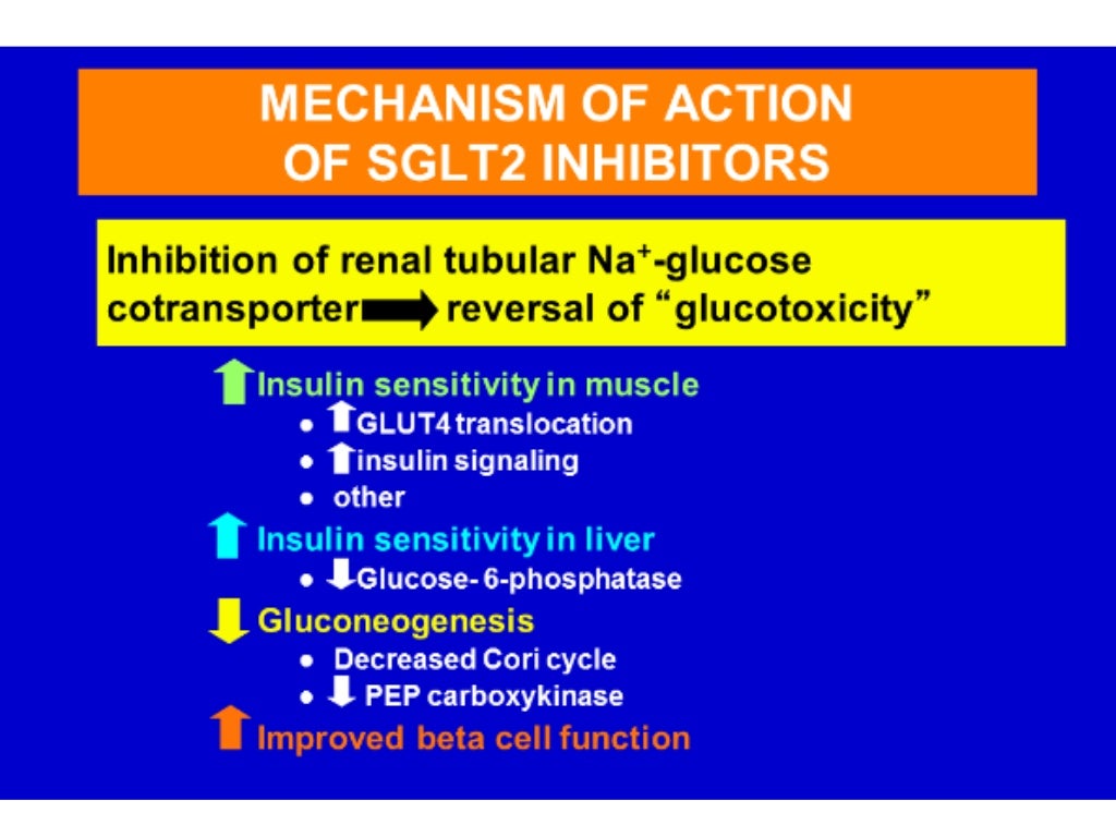 SGLT 2 inhibitors