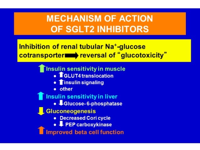 SGLT 2 inhibitors
