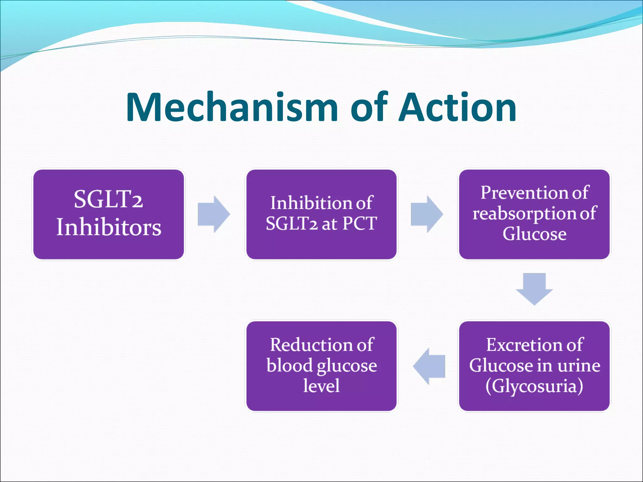 SGLT2 Inhibitors (Gliflozins): A New Class of Drugs to treat Type 2 ...