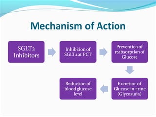 SGLT2 Inhibitors (Gliflozins): A New Class of Drugs to treat Type 2 ...
